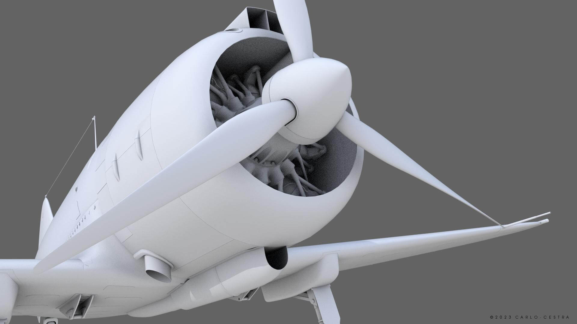 RE2000 Falco I - Catapult Version - Rigged 3D Model by Carlo Cestra