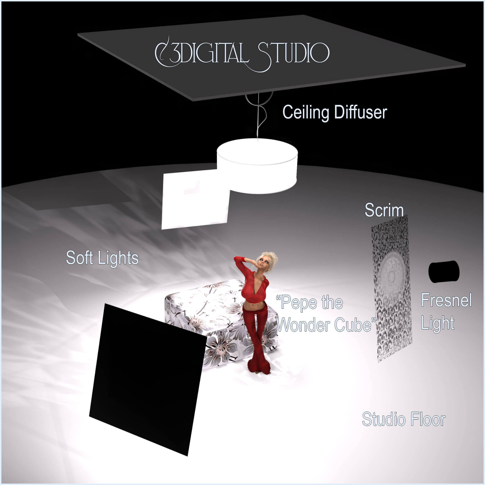 C3Digital Studio Lighting Environment for DAZ Studio by Causam3D