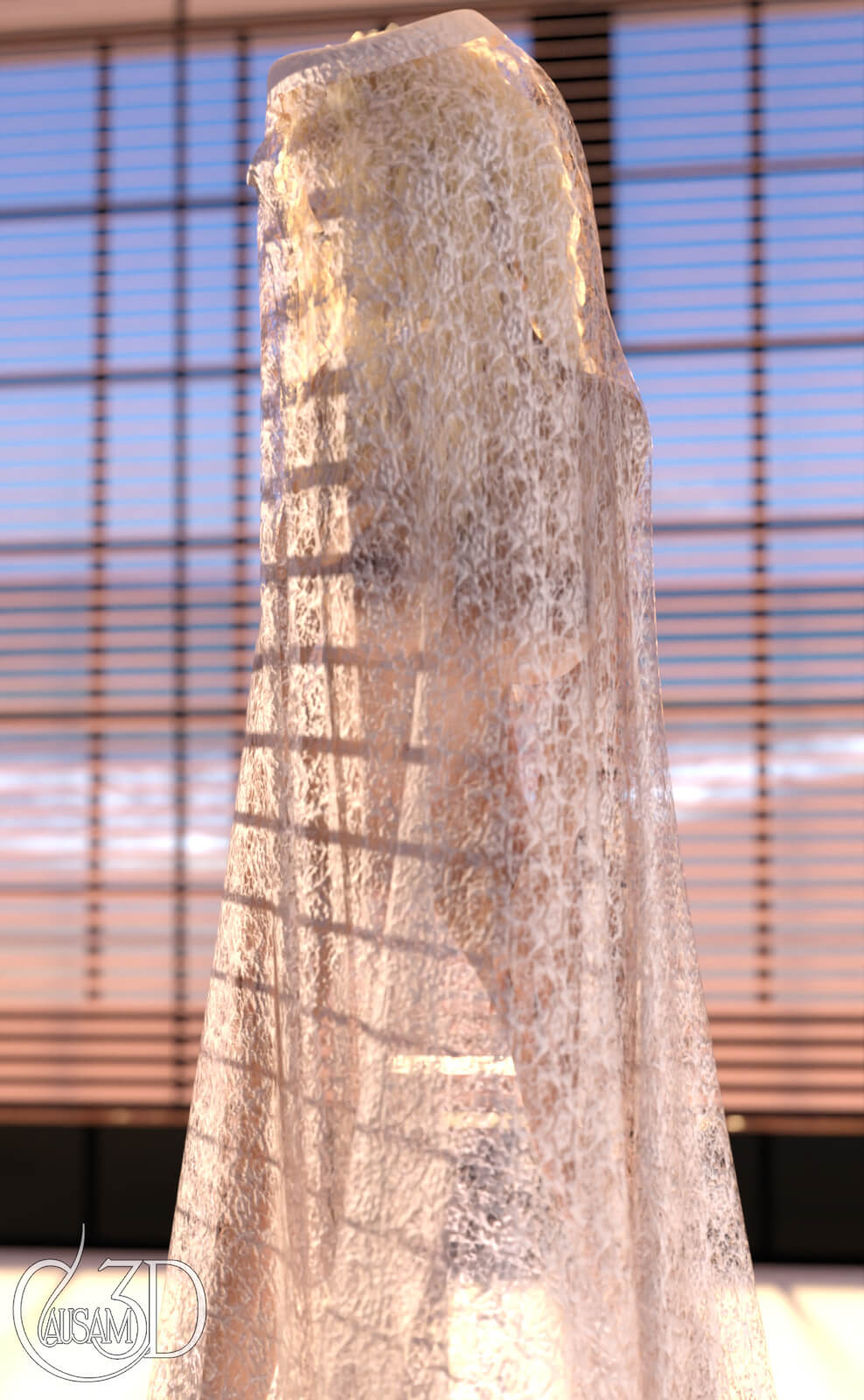 Princess Bride Veil - Fine Lace 3D Render by Causam3D