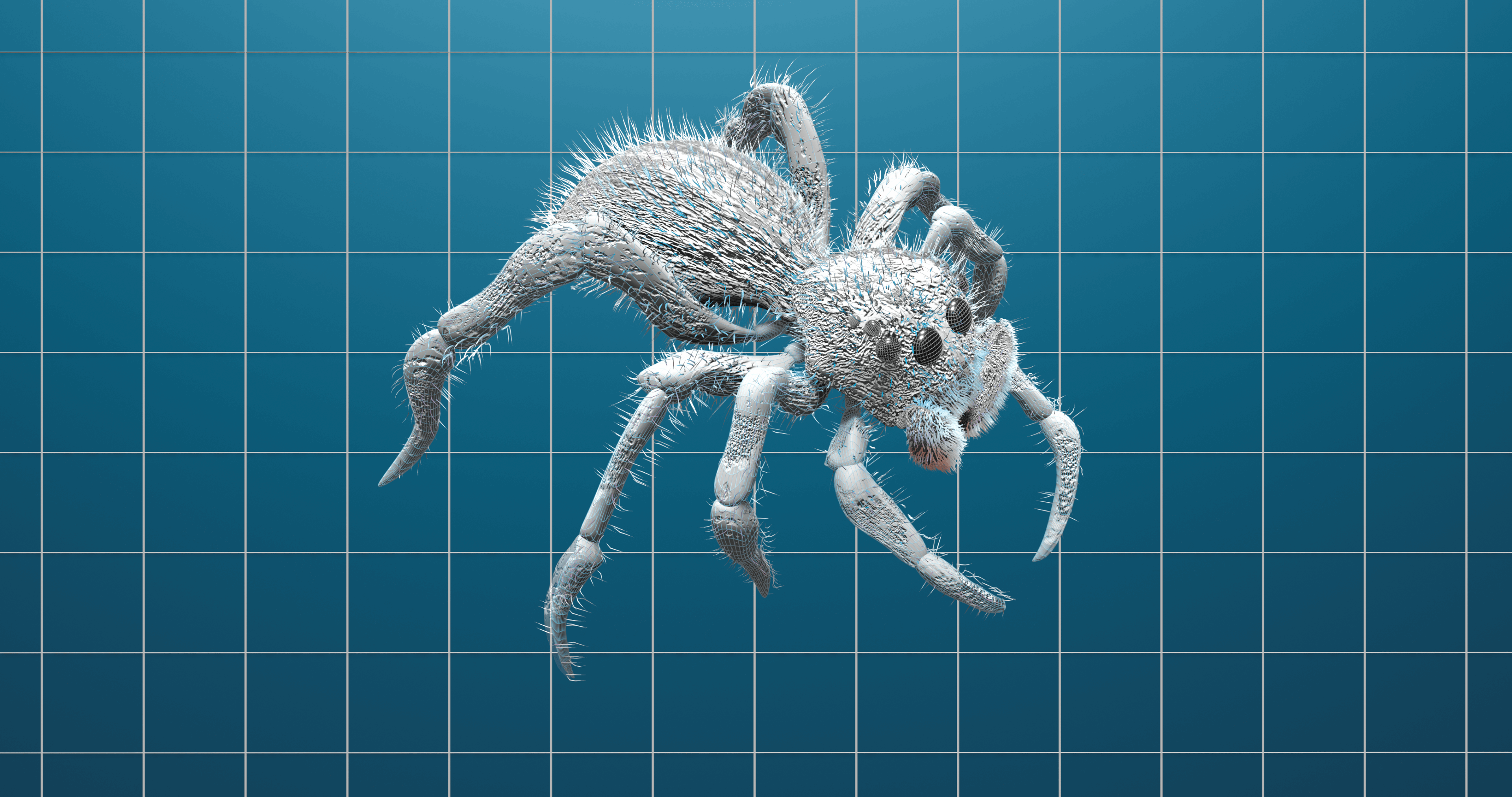 Spider 3D Render, Digital Art by CCreart
