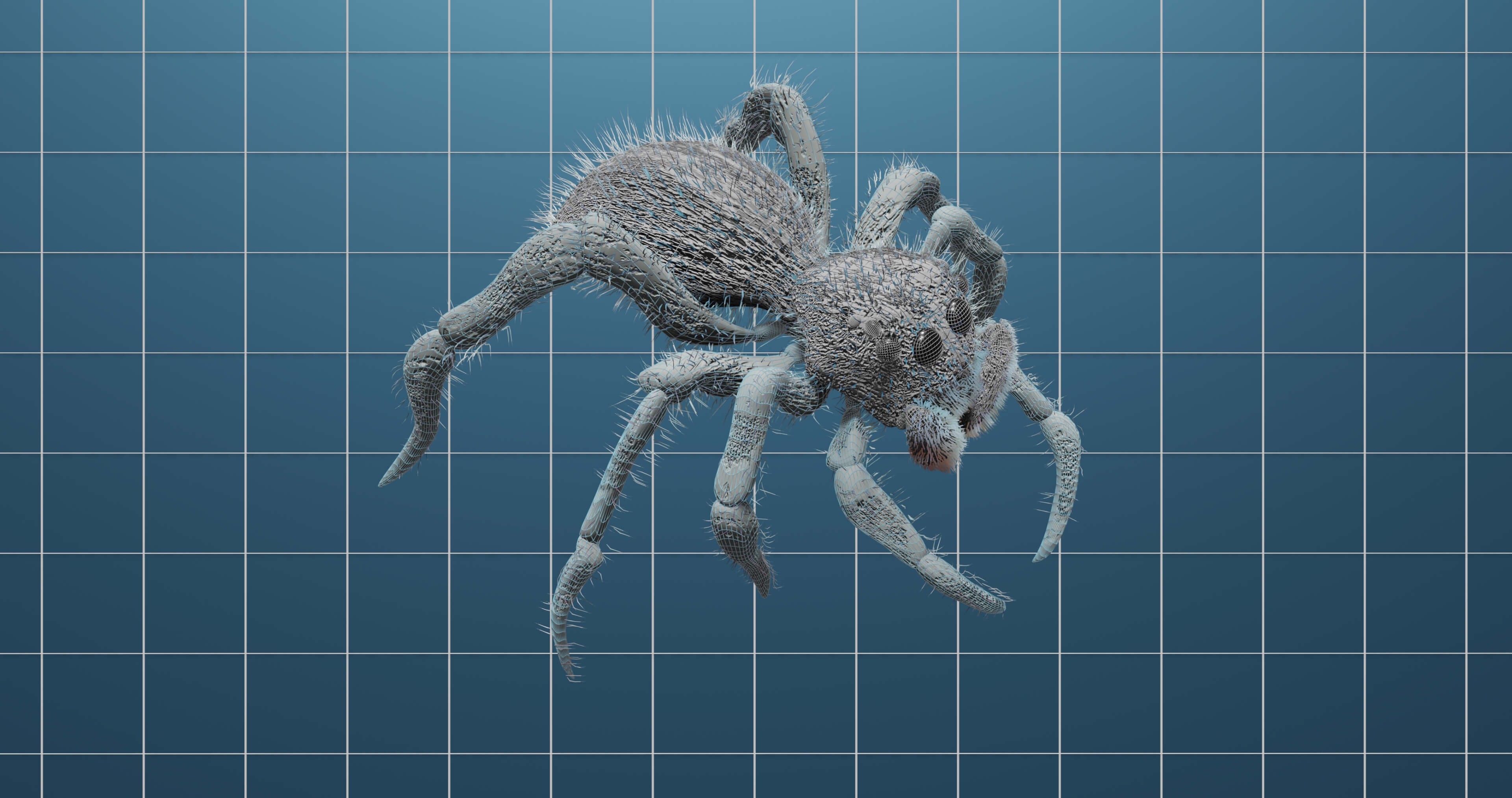 Jumping Spider - 3D Model by CCreart