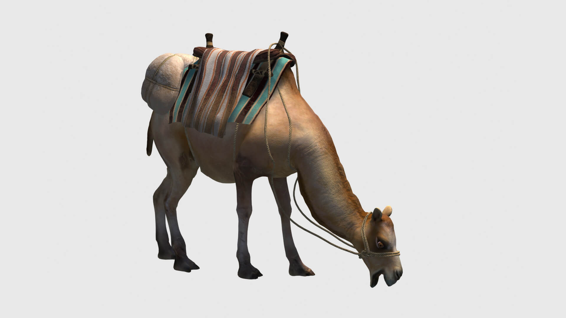 Animated Camel Luggage - 3D Model by cg-bob