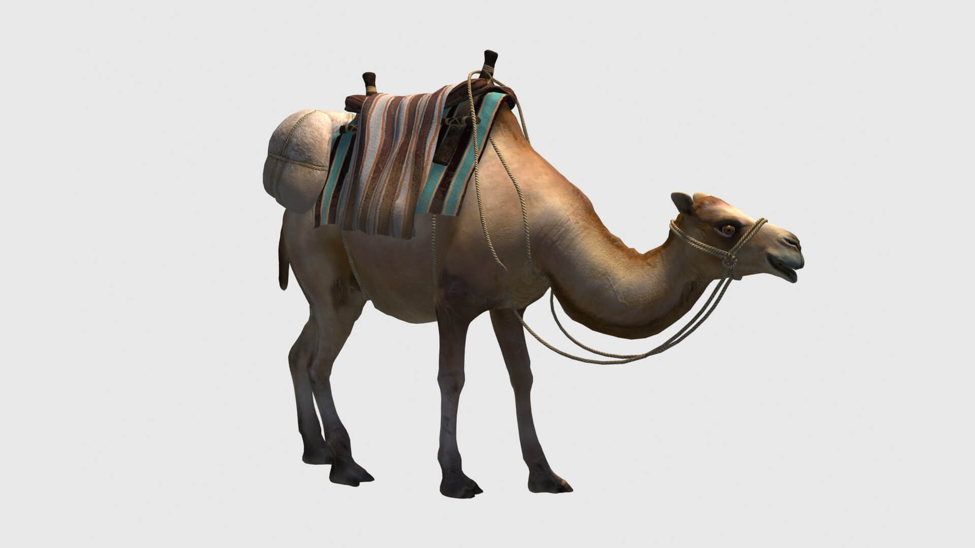 Animated Camel Luggage - 3D Model by cg-bob