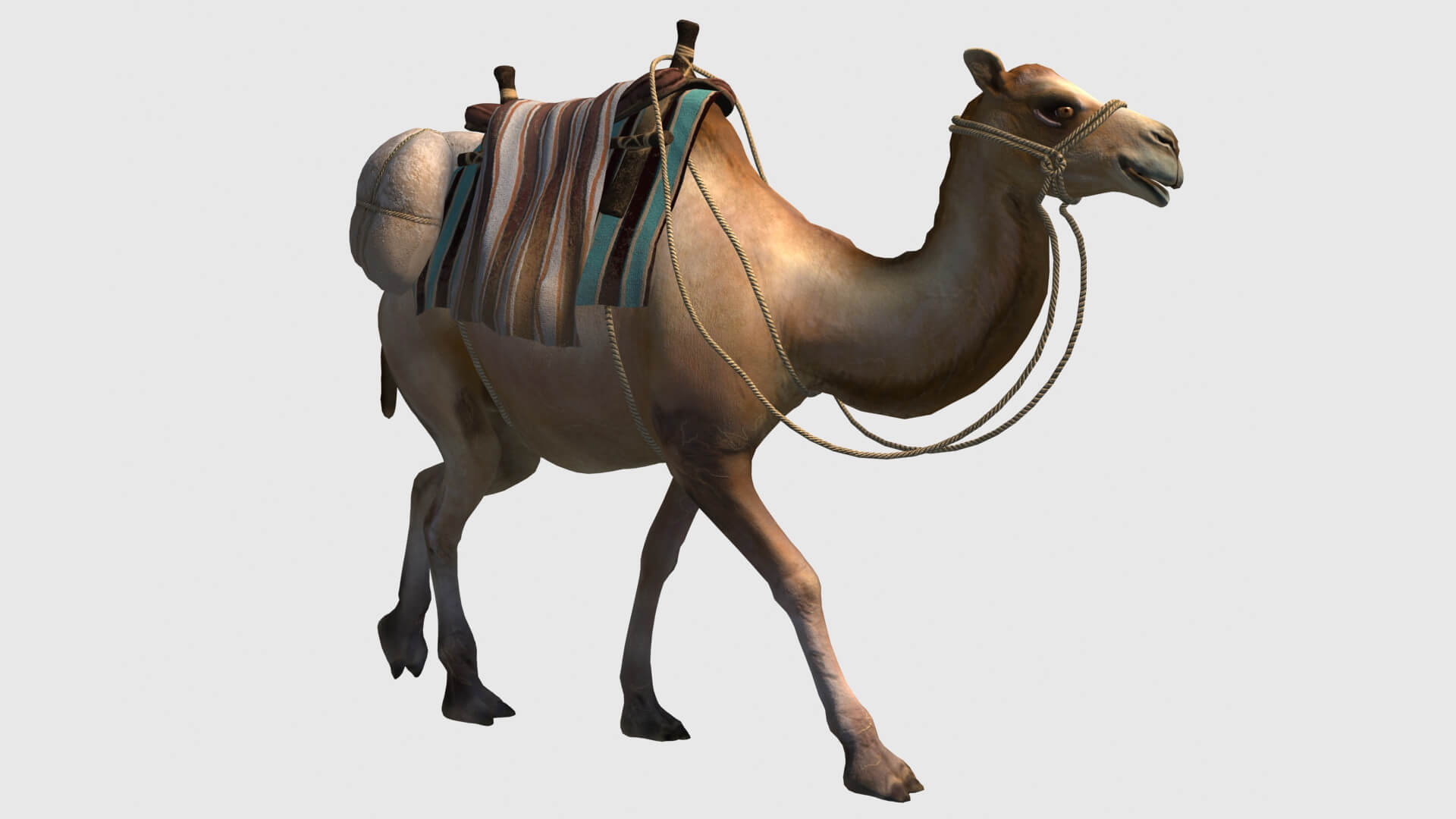 Animated Camel Luggage - 3D Model by cg-bob