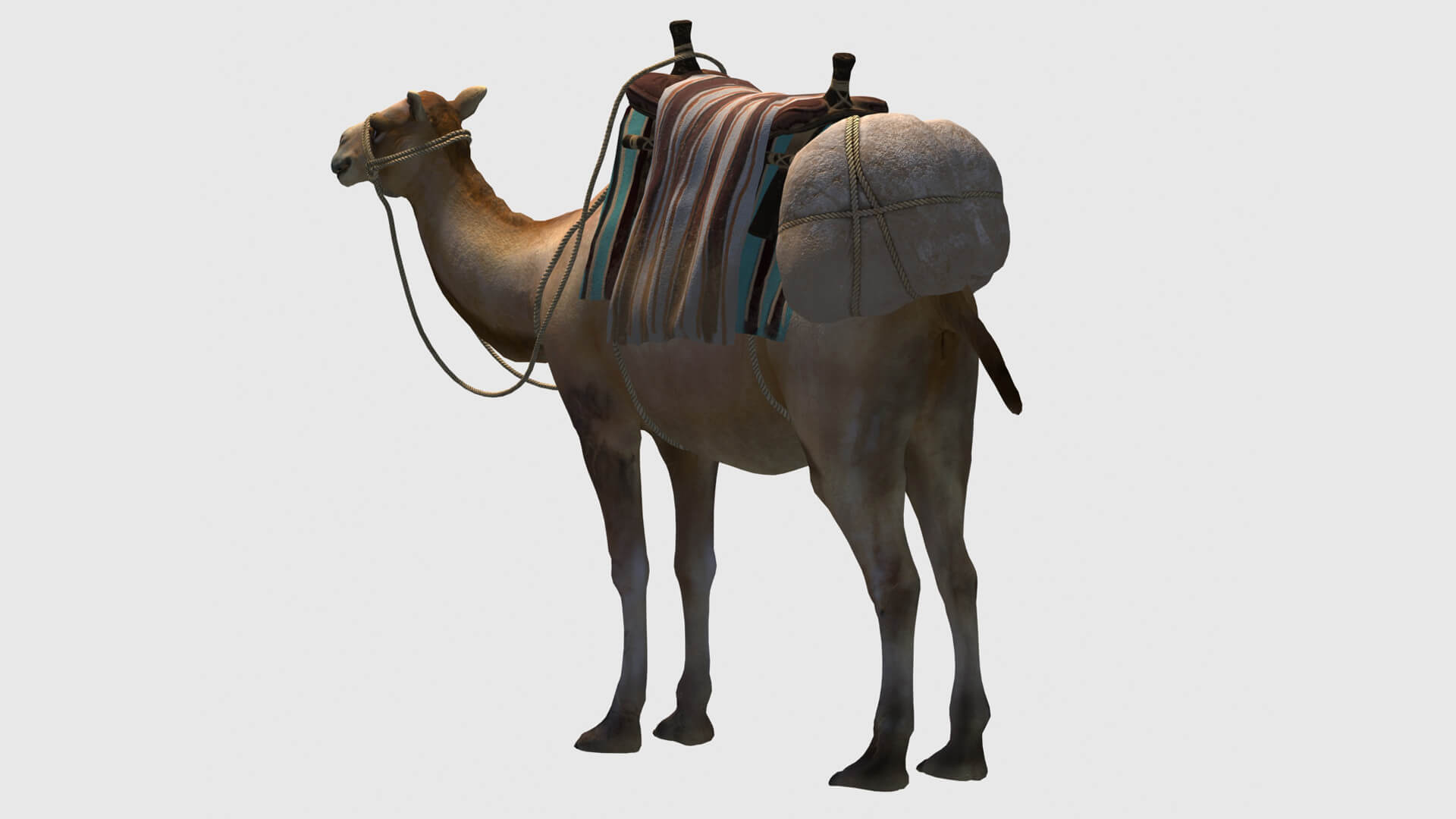 Animated Camel Luggage - 3D Model by cg-bob