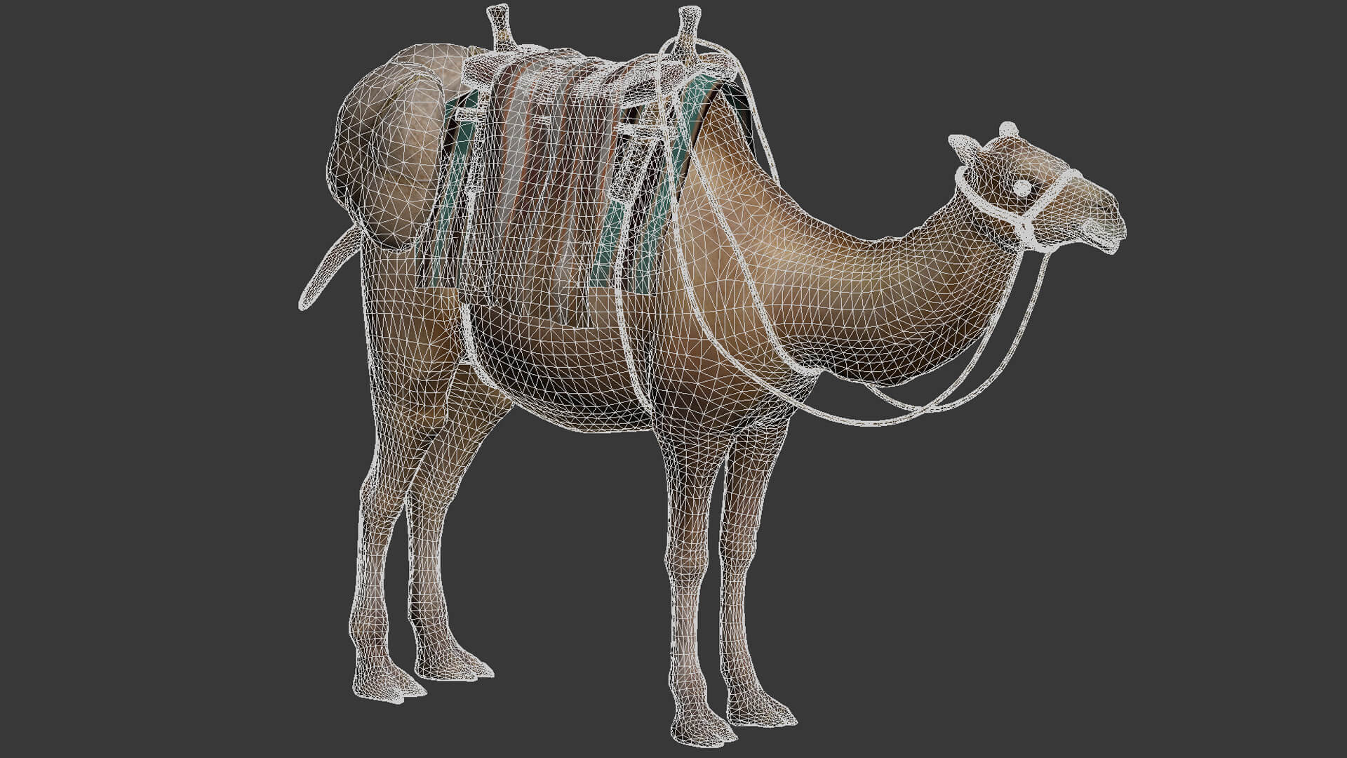 Animated Camel Luggage - 3D Model by cg-bob