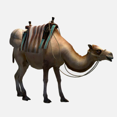 Animated Camel Luggage - 3D Model by cg-bob