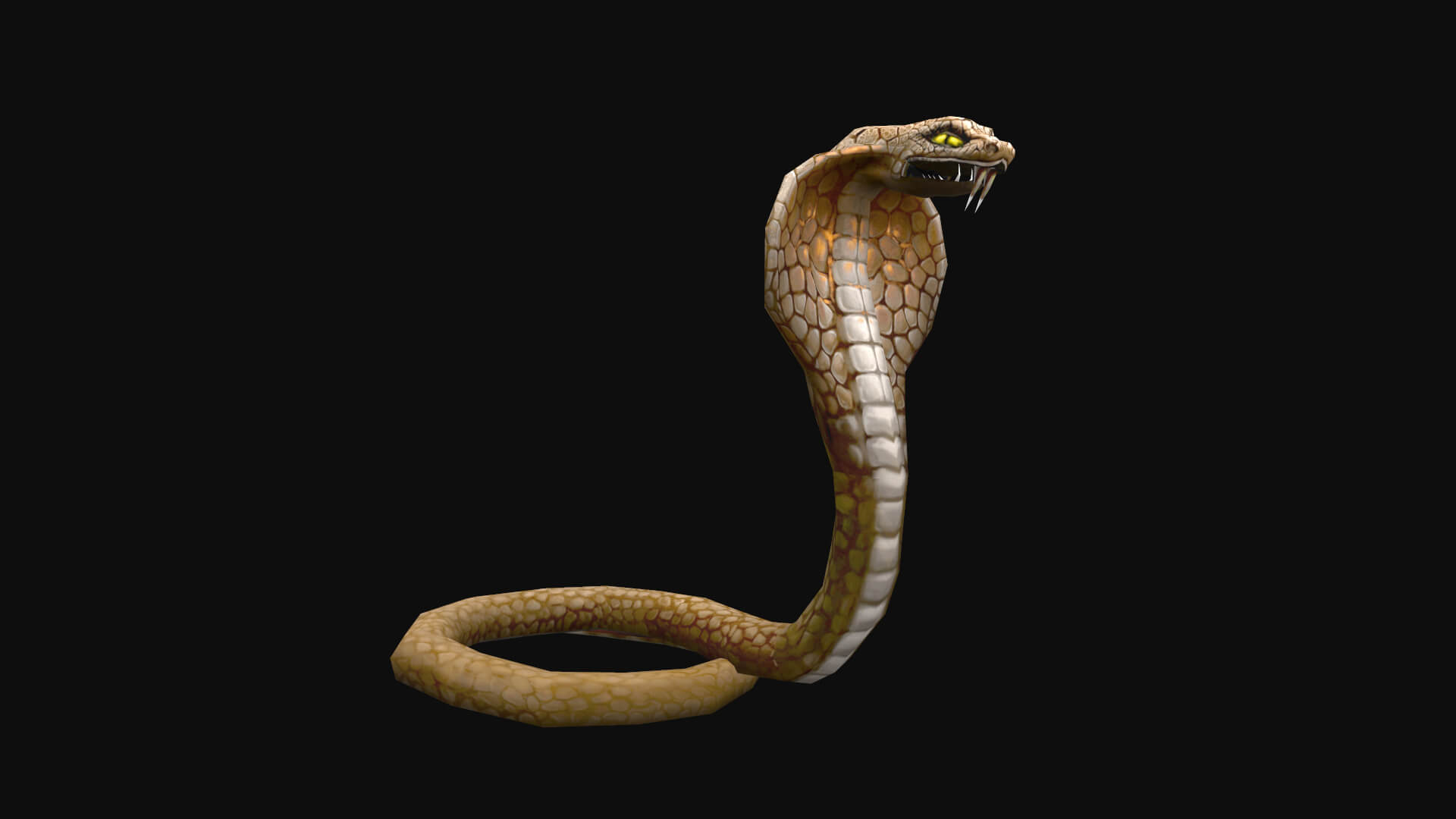 Animated Cobra Snake - 3D Model by cg-bob