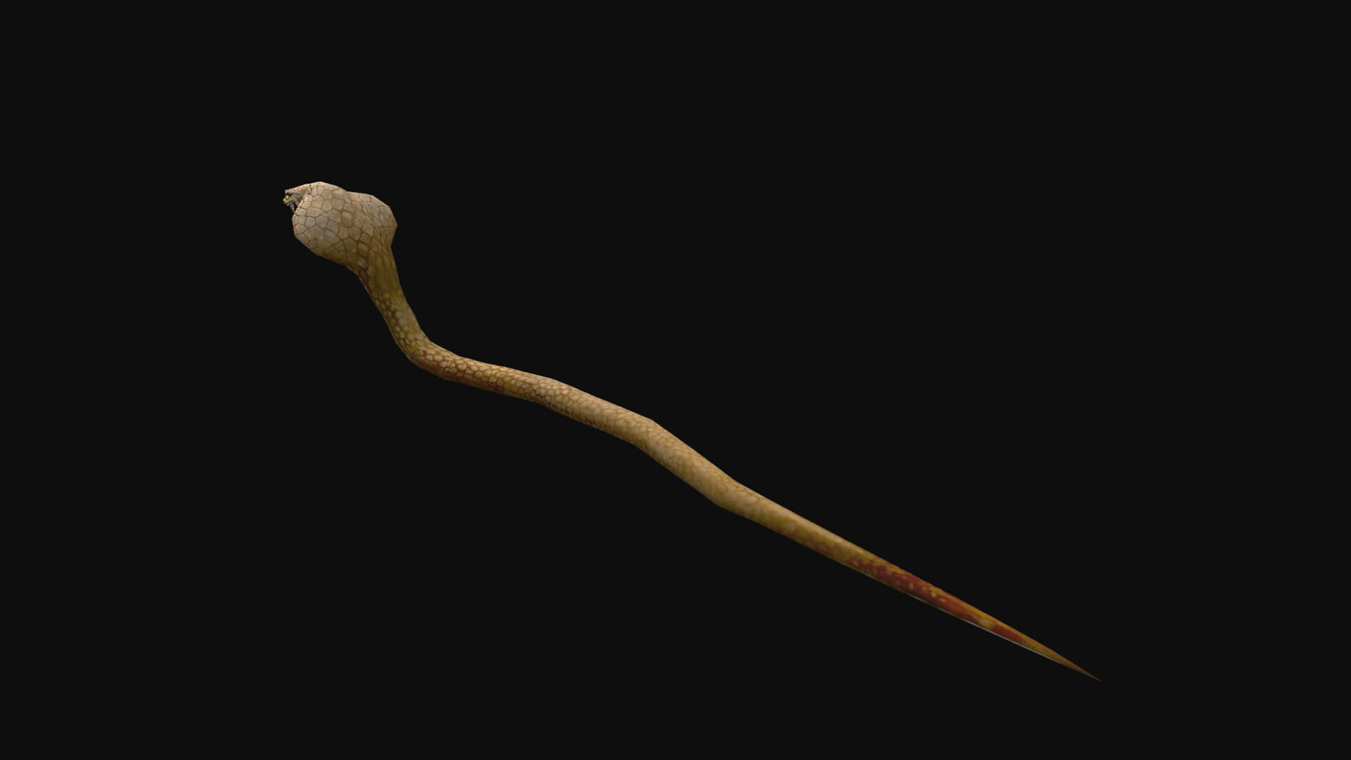 Animated Cobra Snake - 3D Model by cg-bob