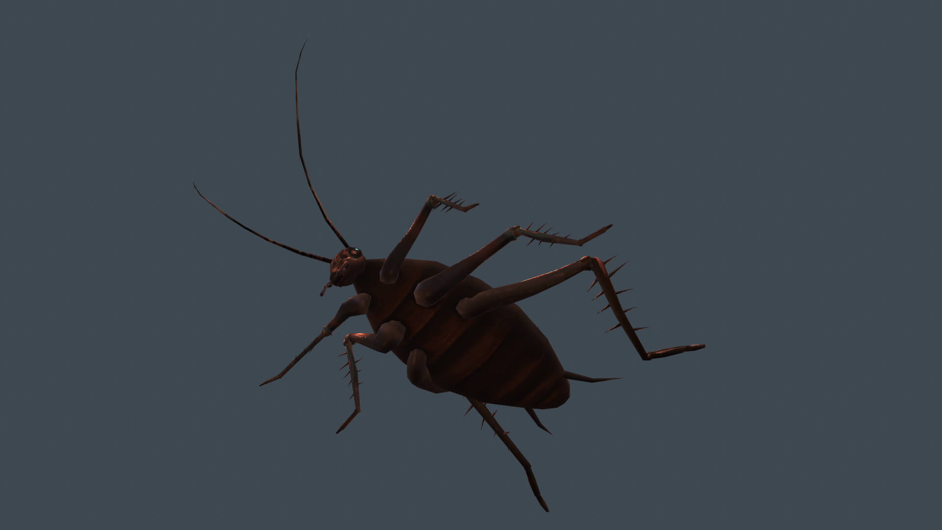 Animated Cockroach - 3D Model by cg-bob