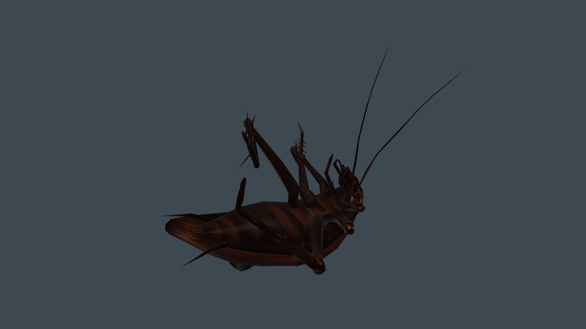 Animated Cockroach - 3D Model by cg-bob