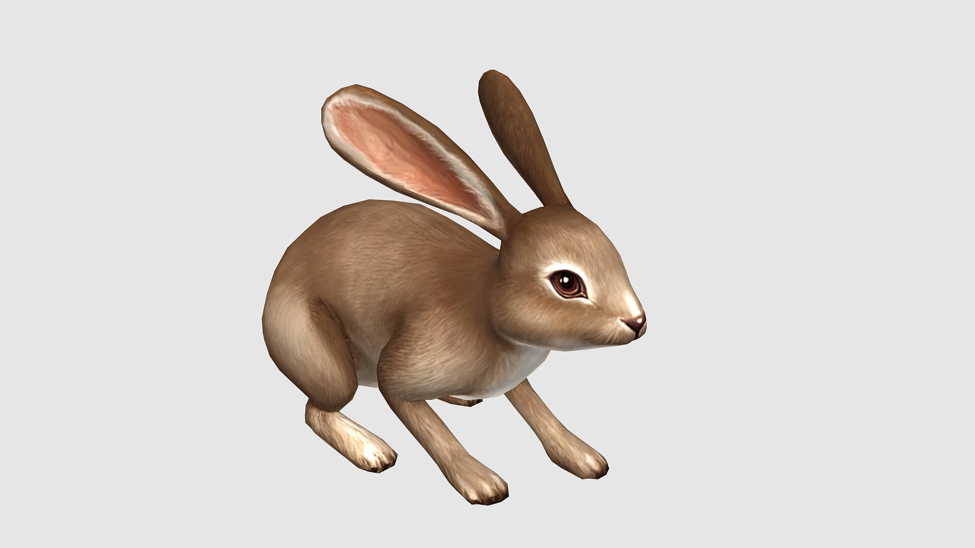 Animated Hare Rabbit Bunny - 3D Model by cg-bob