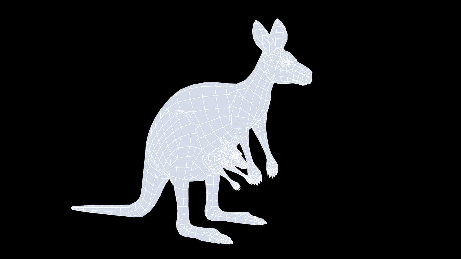 Animated Kangaroo With Baby - 3D Model by cg-bob