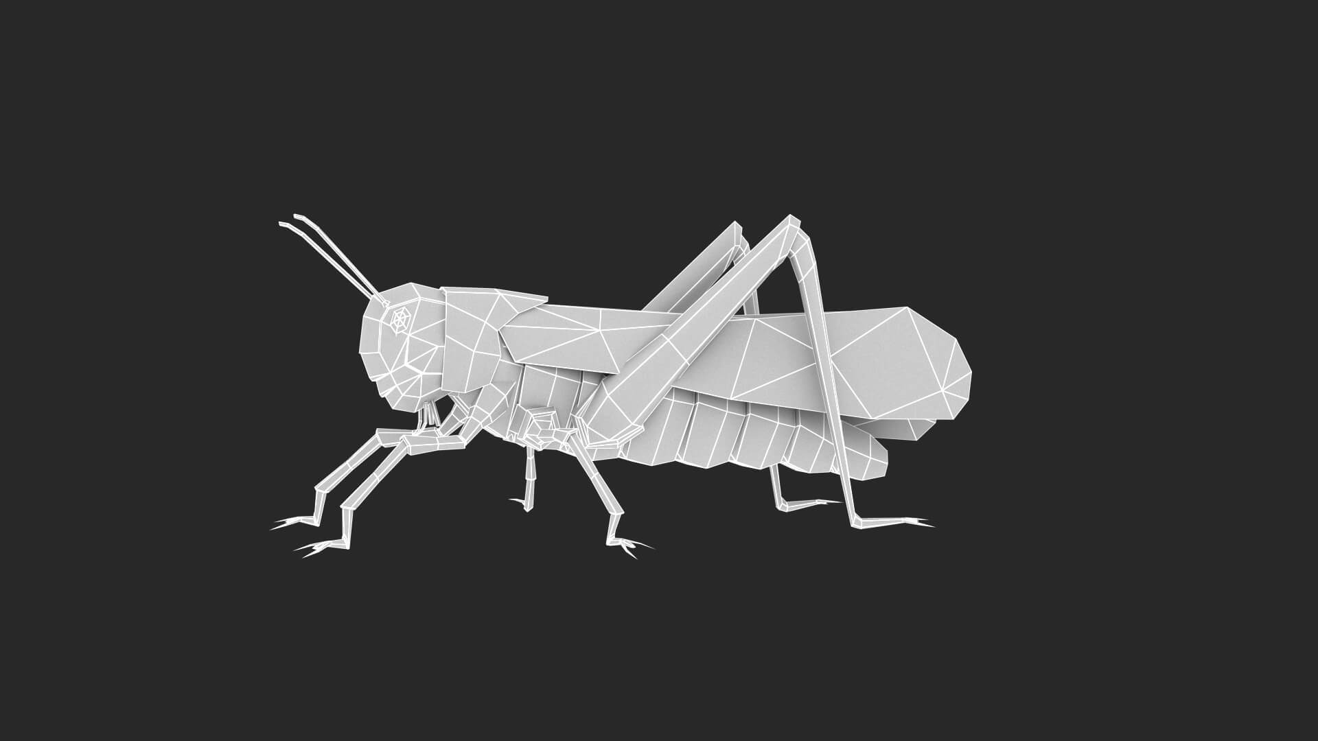 Animated Locust Grasshopper - 3D Model by cg-bob
