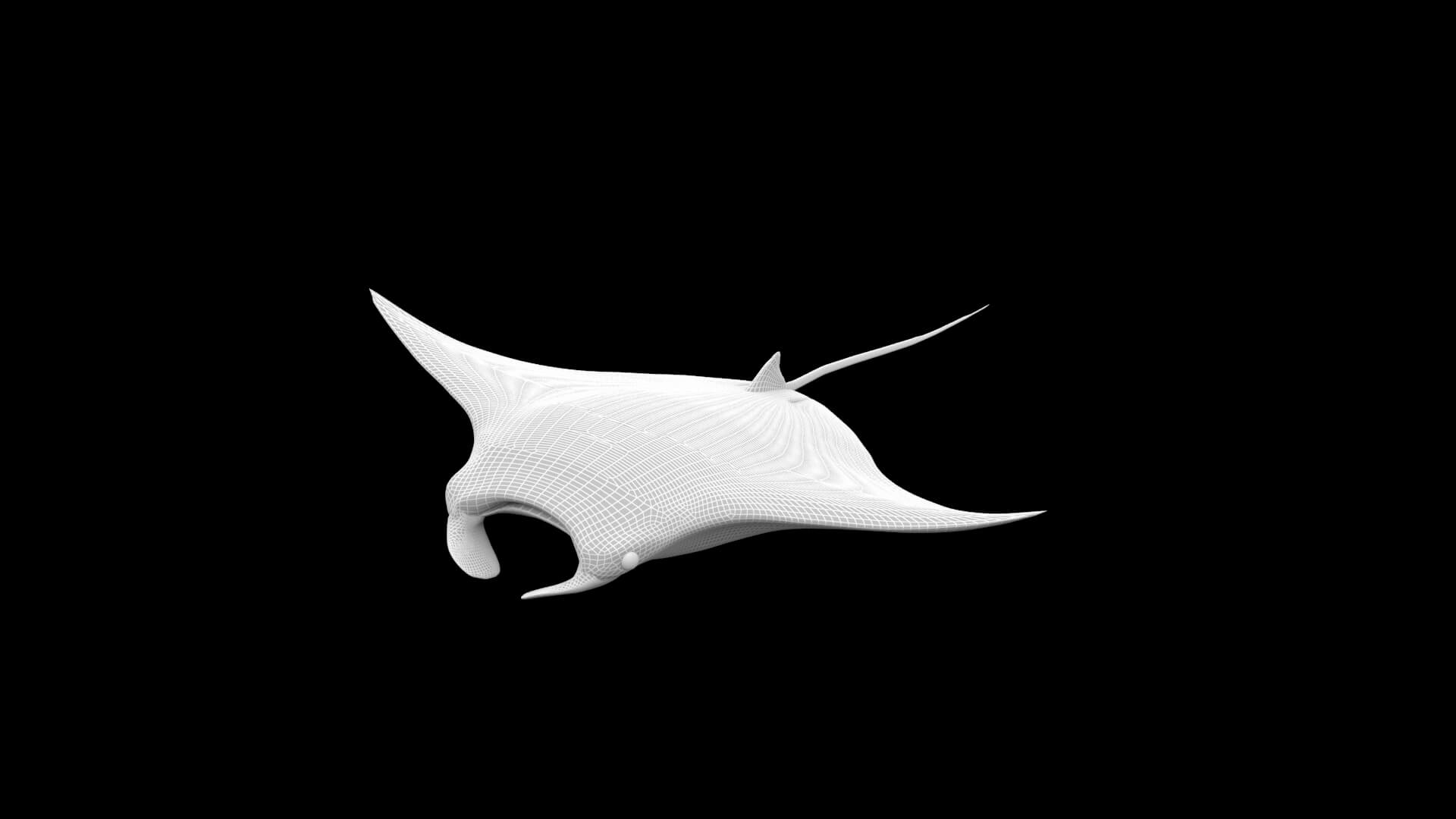 Animated Manta Ray - 3D Model by cg-bob