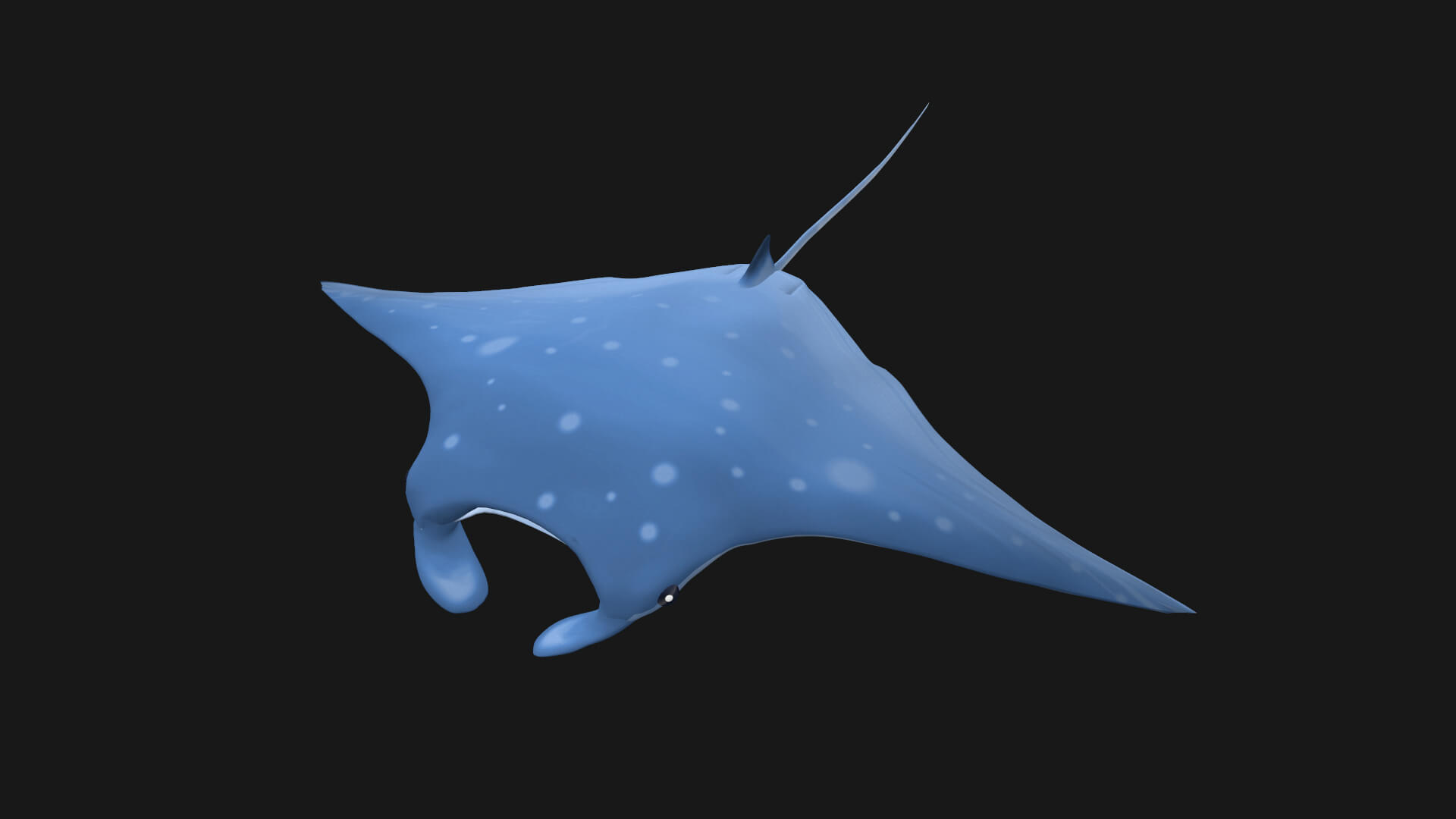 Animated Manta Ray - 3D Model by cg-bob