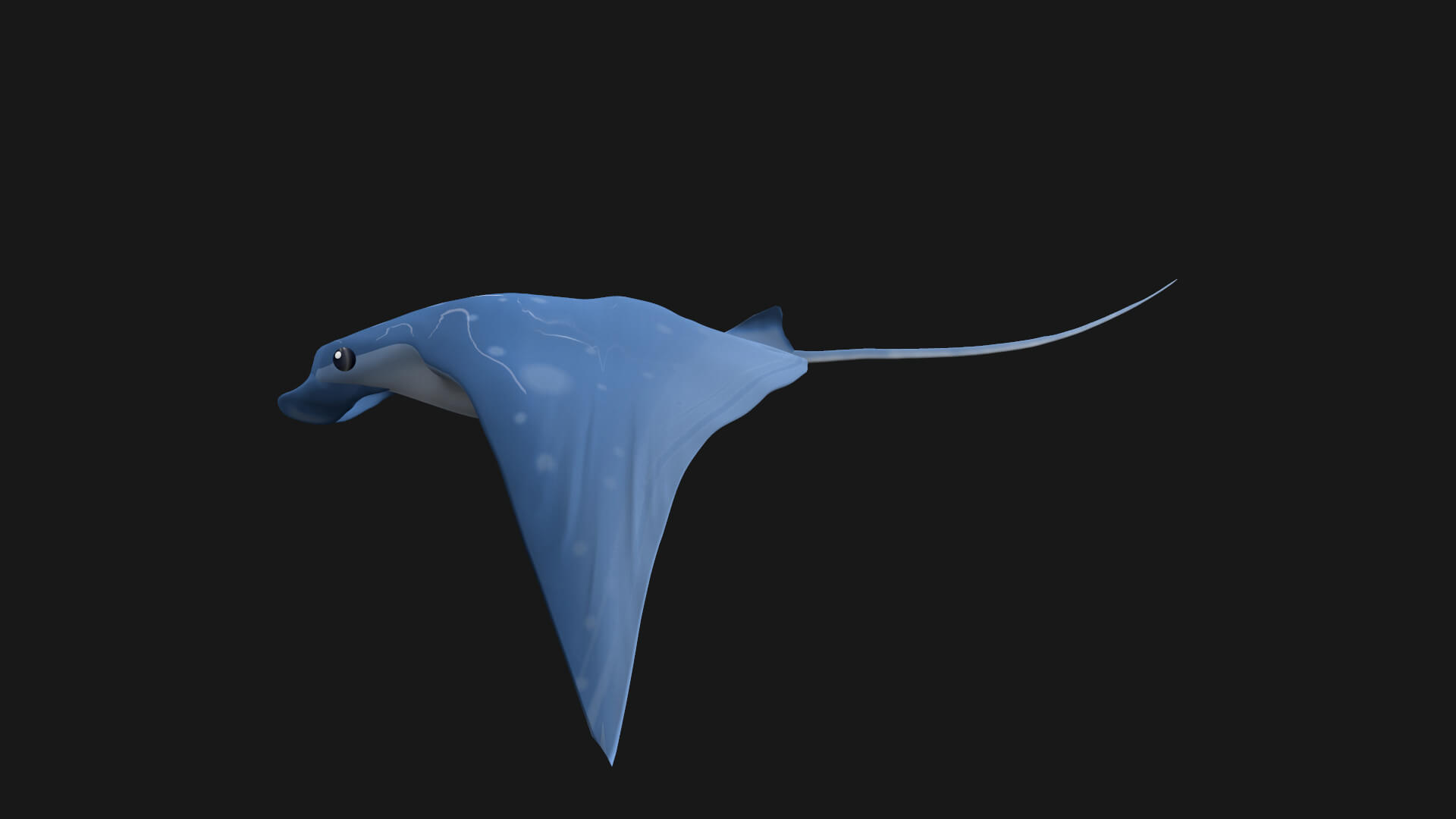 Animated Manta Ray - 3D Model by cg-bob