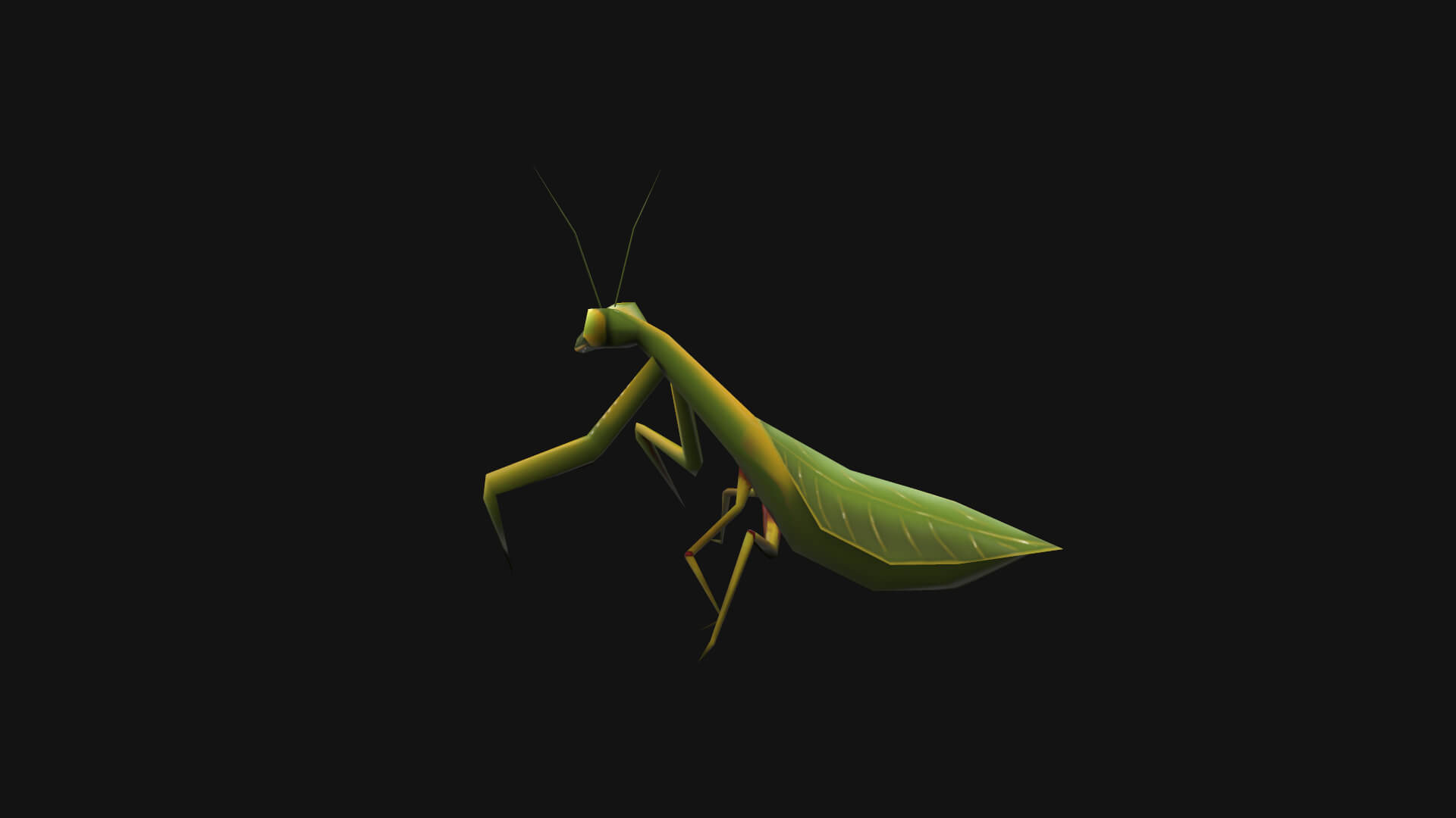 Animated Mantis - 3D Model by cg-bob