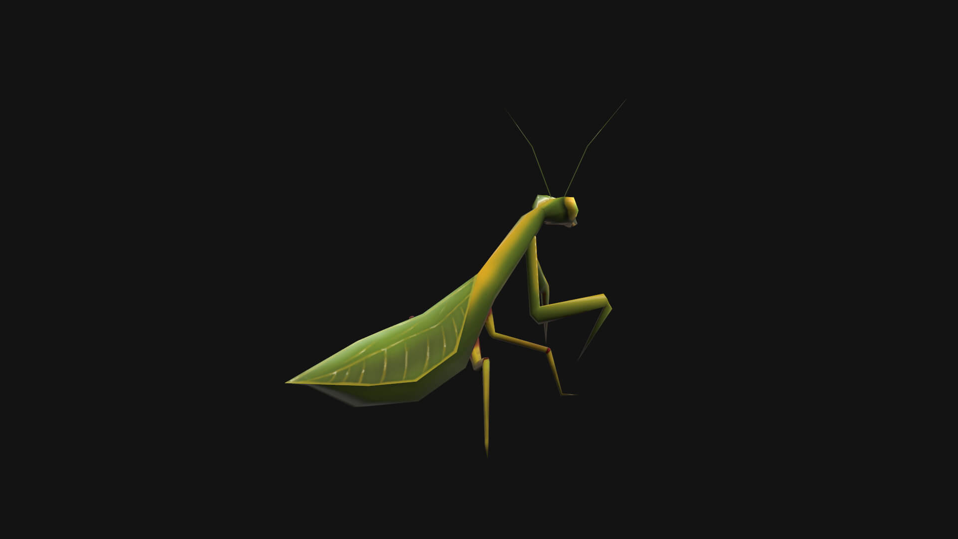 Animated Mantis - 3D Model by cg-bob