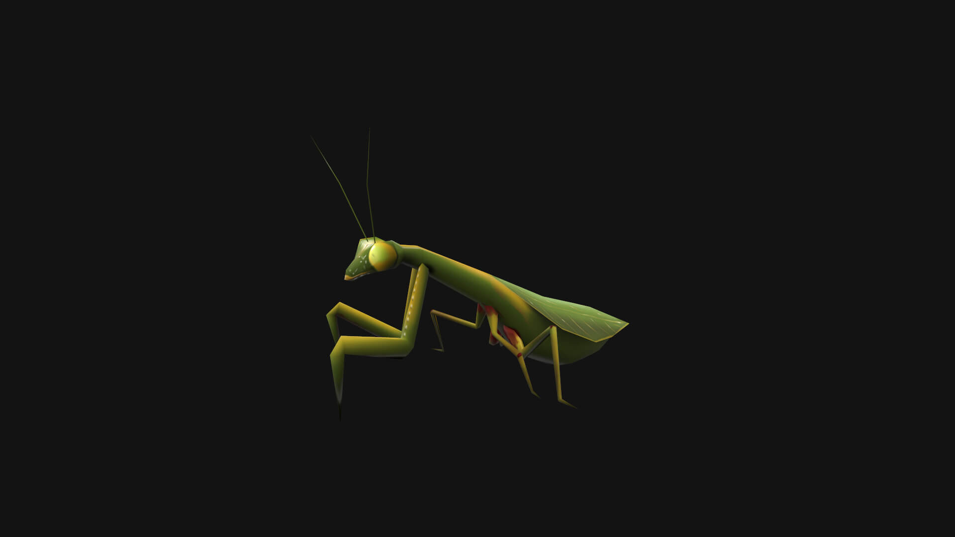 Animated Mantis - 3D Model by cg-bob