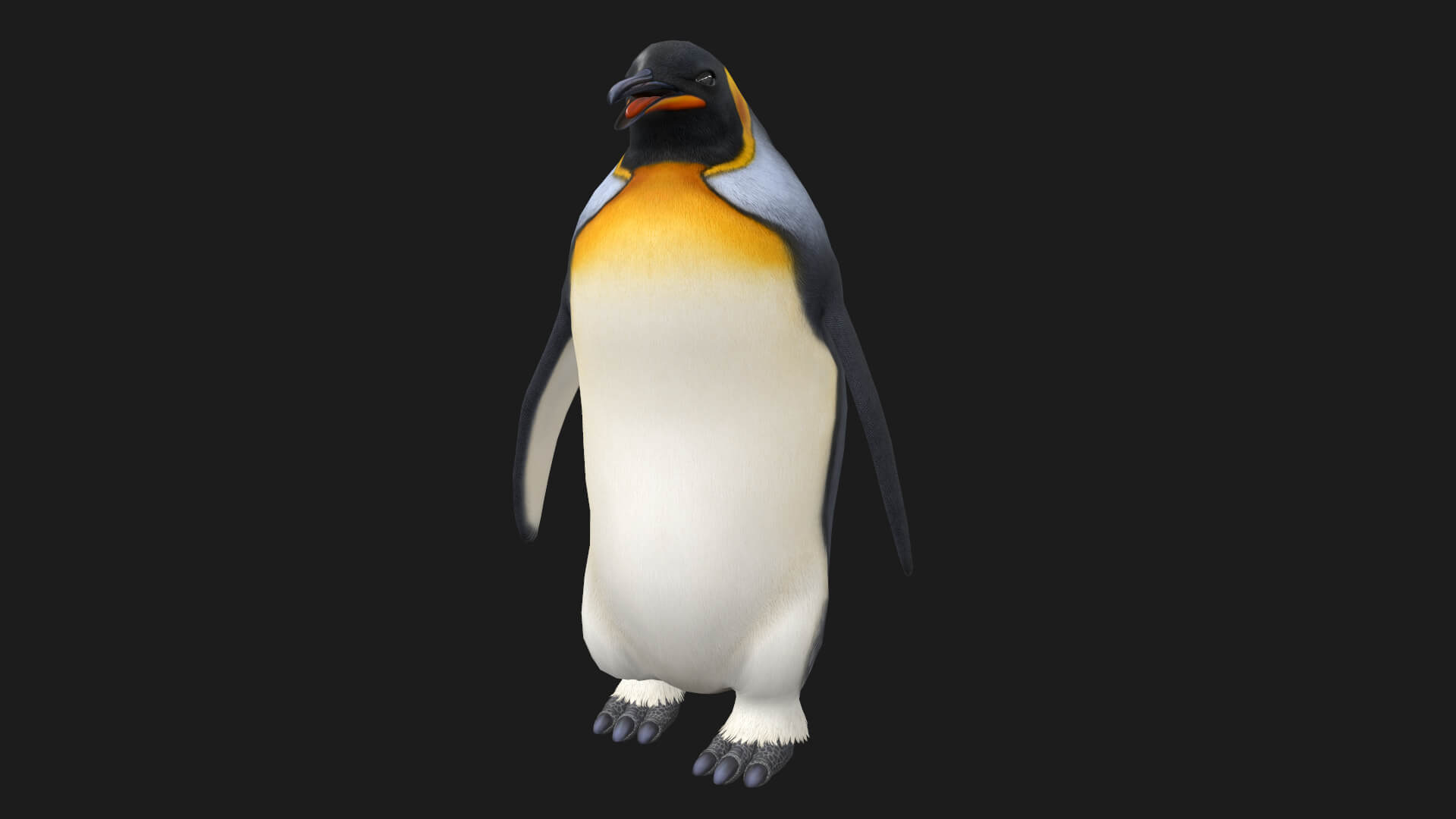 Animated Penguin - 3D Model by cg-bob