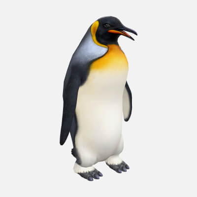 Animated Penguin - 3D Model by cg-bob