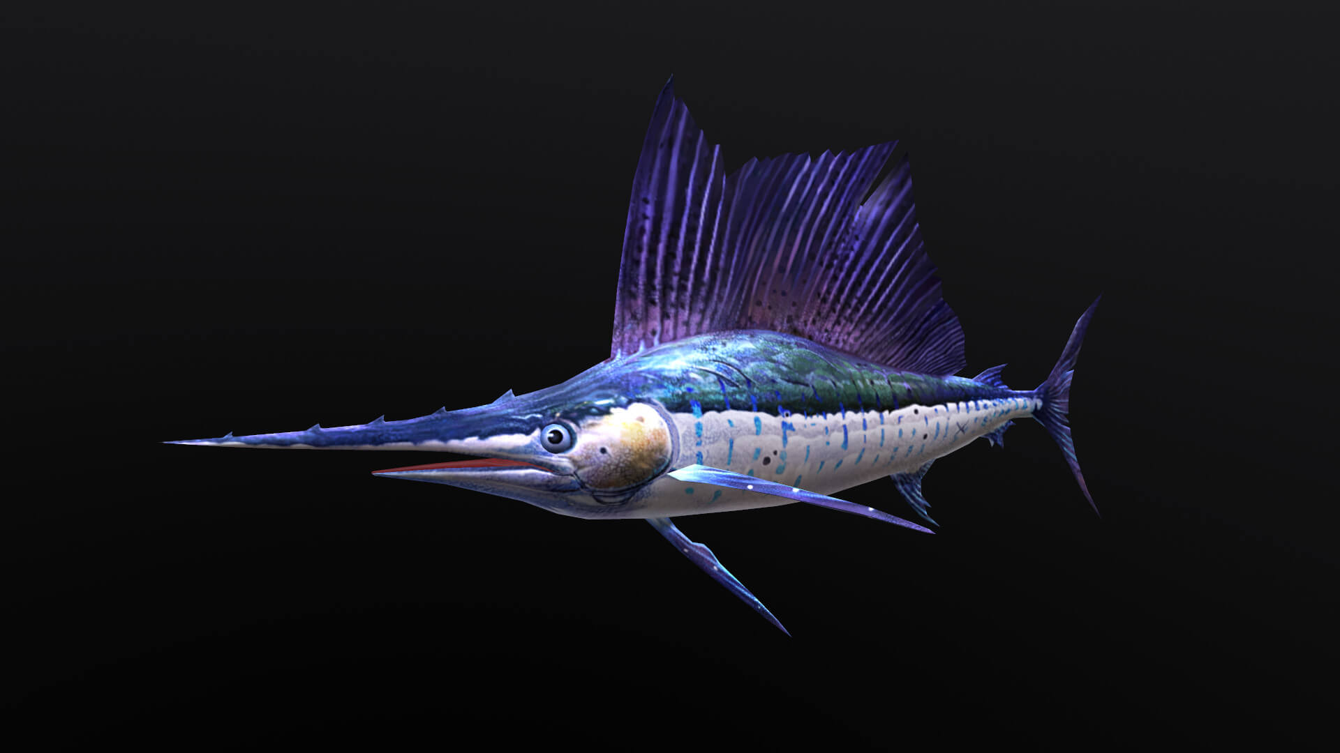 Animated Sailfish Billfish - 3D Model by cg-bob