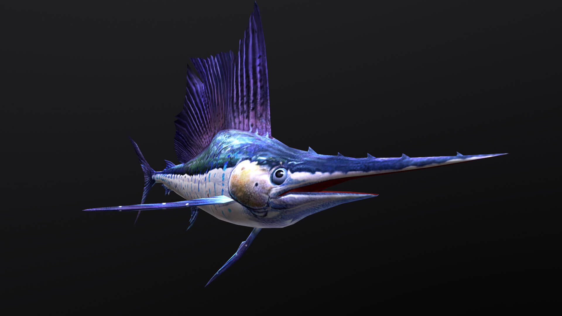 Animated Sailfish Billfish - 3D Model by cg-bob