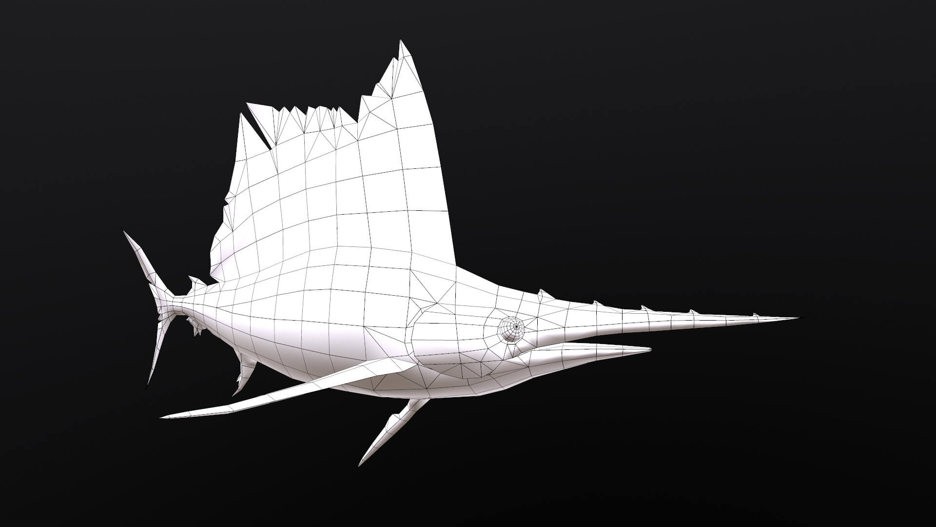 Animated Sailfish Billfish - 3D Model by cg-bob