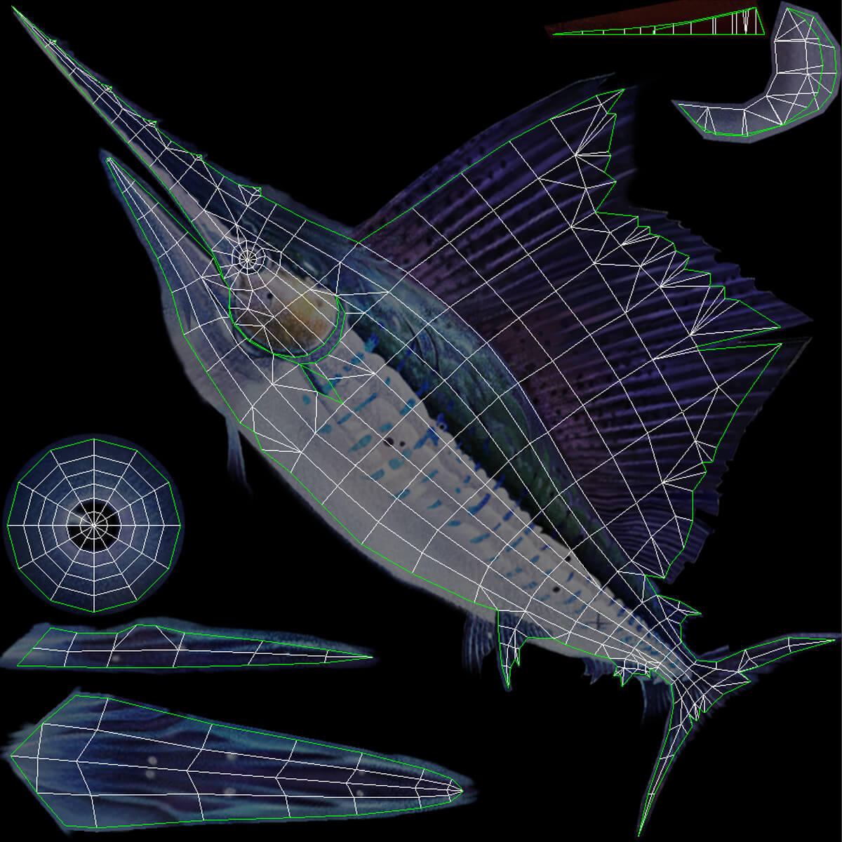 Animated Sailfish Billfish - 3D Model by cg-bob