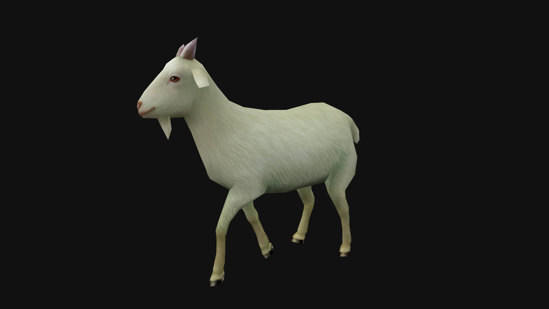 Animated Sheep Goat - 3D Model by cg-bob