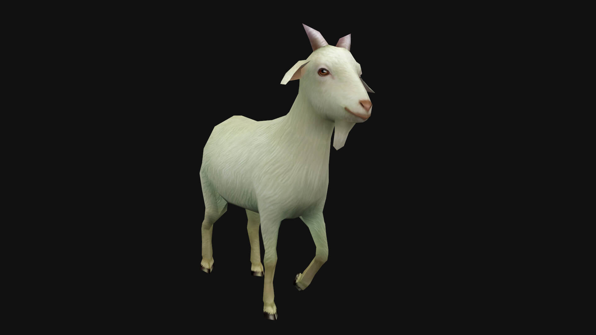 Animated Sheep Goat - 3D Model by cg-bob