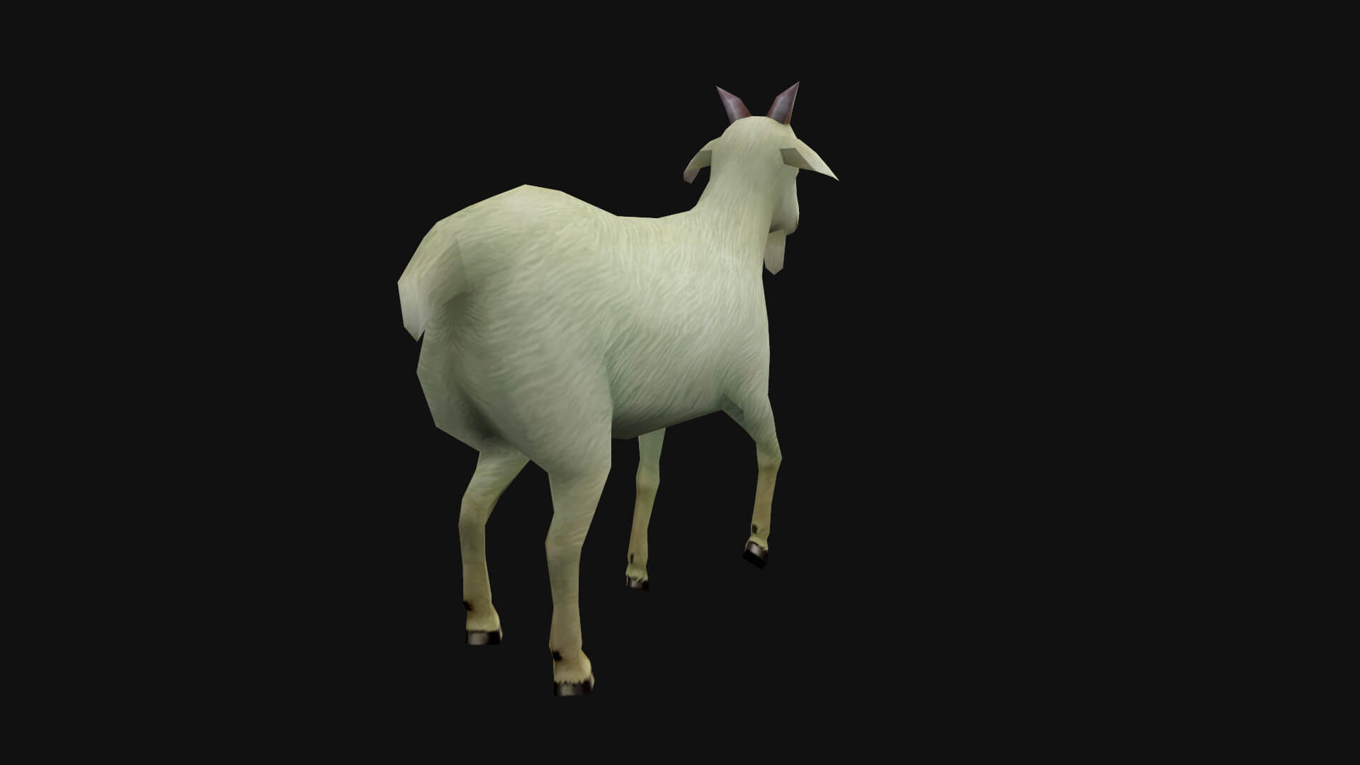 Animated Sheep Goat - 3D Model by cg-bob