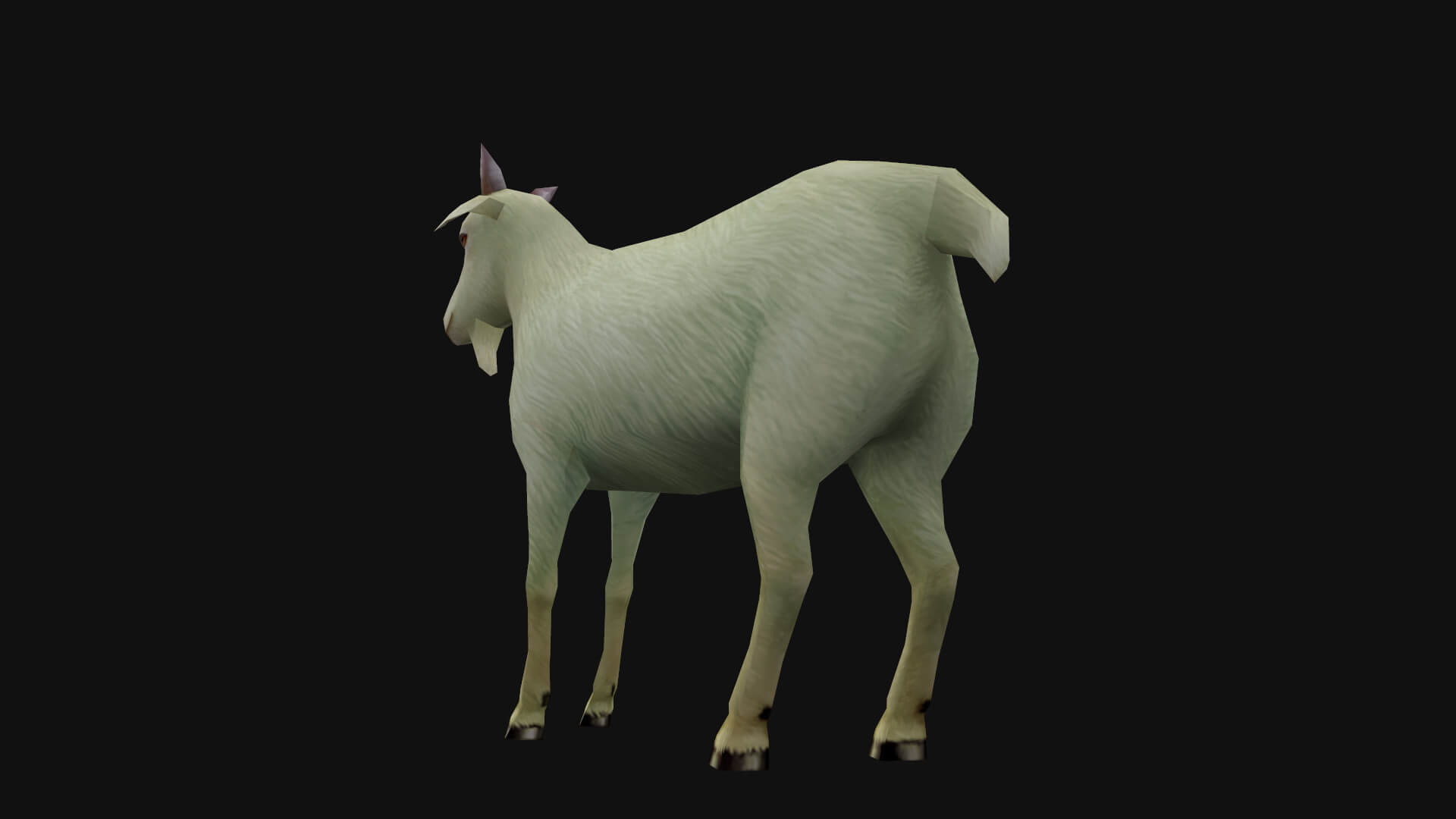 Animated Sheep Goat - 3D Model by cg-bob