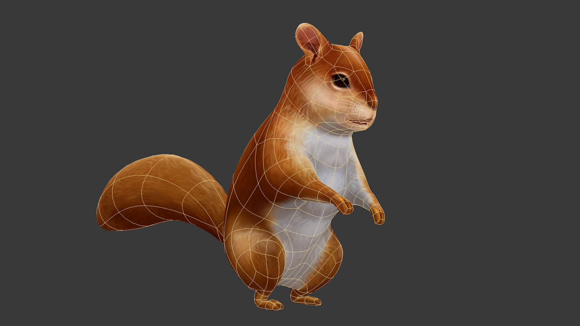 Animated Squirrel Chipmunk Chippy - 3D Model by cg-bob