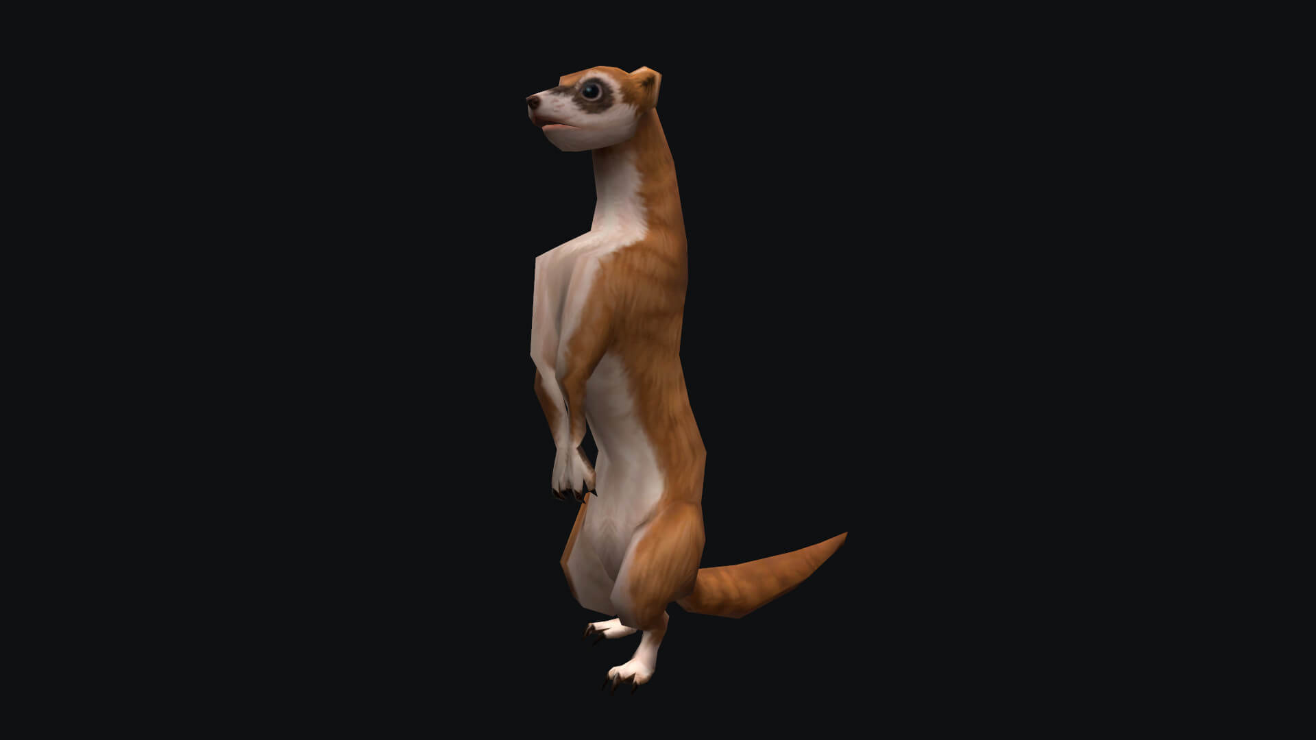 Animated Weasel - 3D Model by cg-bob