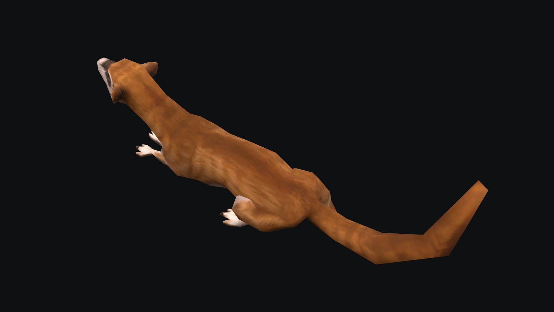 Animated Weasel - 3D Model by cg-bob
