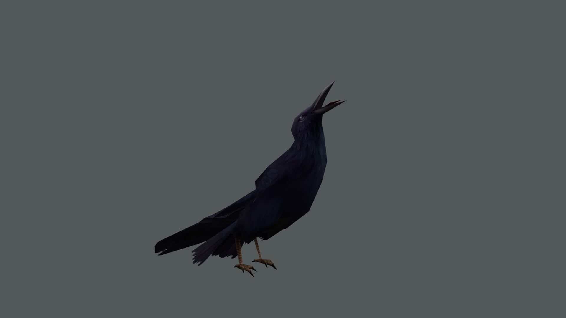 Low Poly Animated Crow - 3D Model by cg-bob