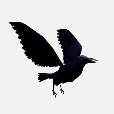 Low Poly Animated Crow - 3D Model by cg-bob