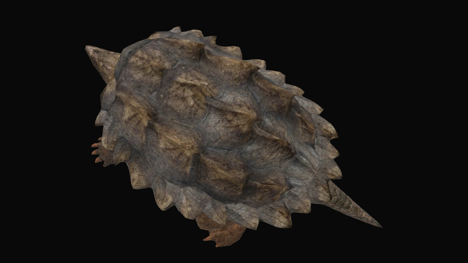 Alligator Snapping Turtle - 3D Model by cg-monster