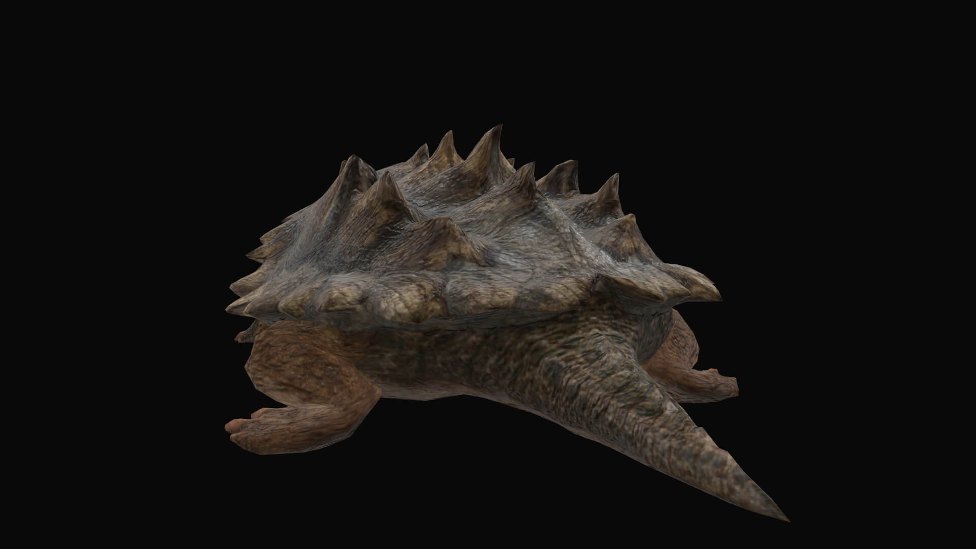 Alligator Snapping Turtle - 3D Model by cg-monster