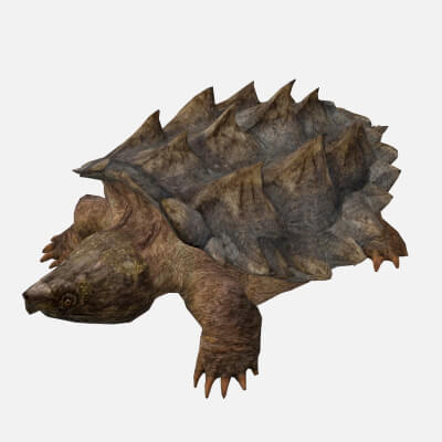 Alligator Snapping Turtle - 3D Model by cg-monster