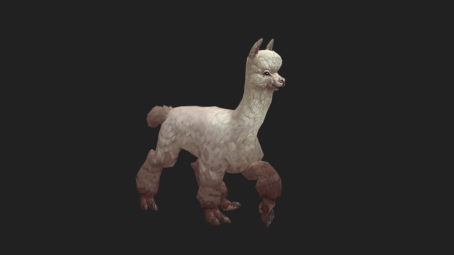 Animated Alpaca - 3D Model by cg-monster