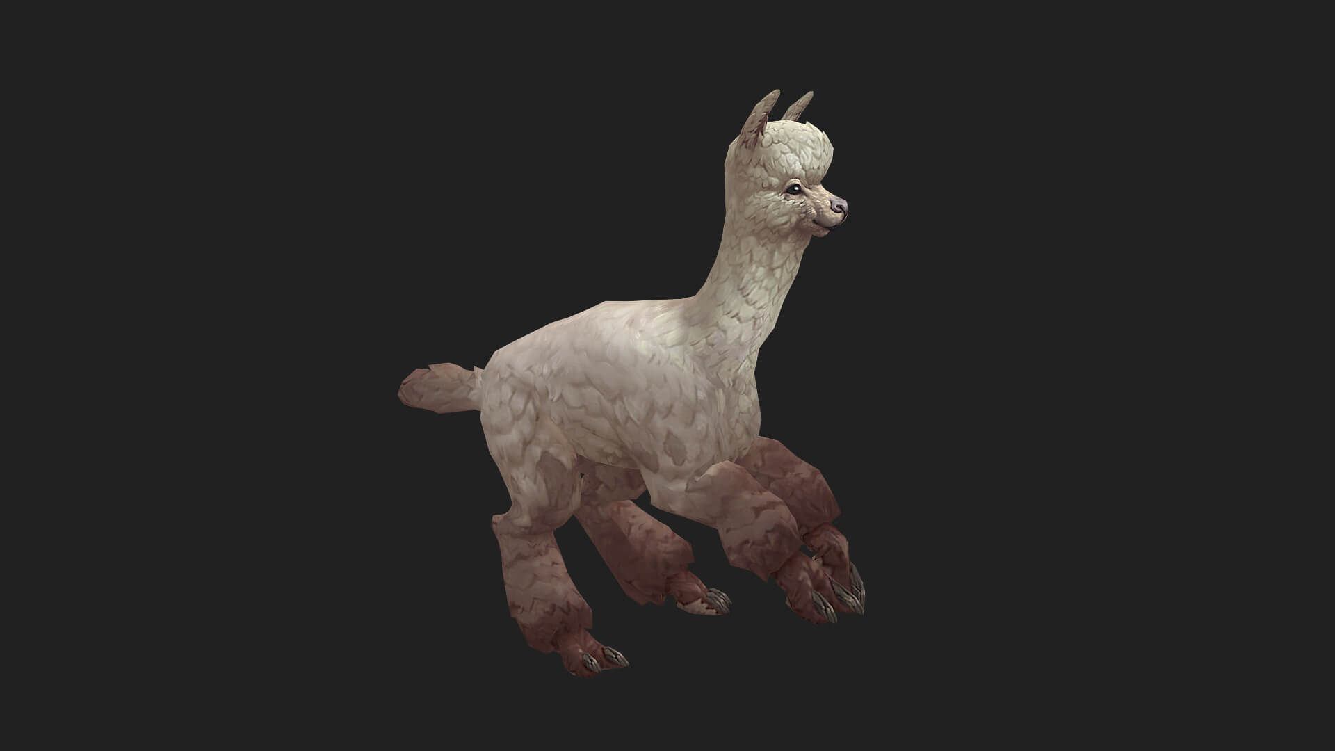 Animated Alpaca - 3D Model by cg-monster
