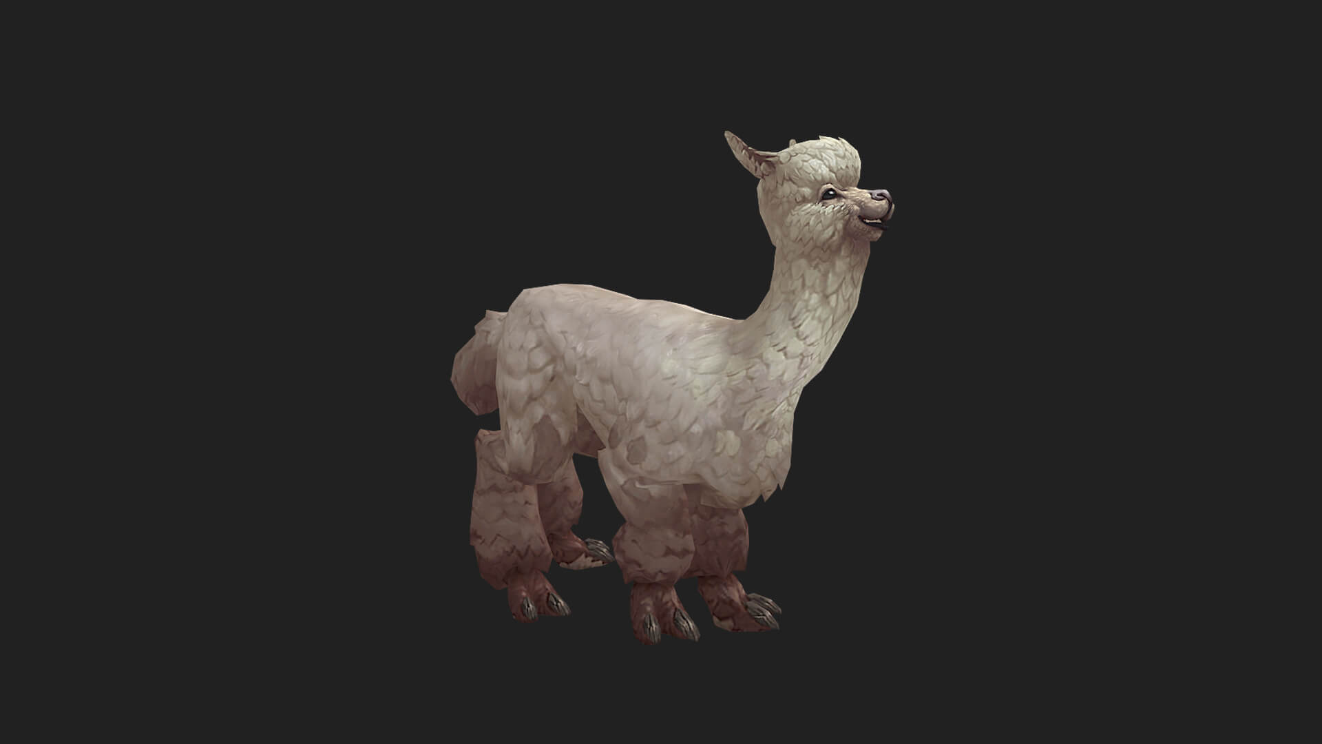 Animated Alpaca - 3D Model by cg-monster
