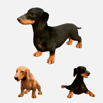 Dachshund Dog Pet - 3D Model by cg-monster