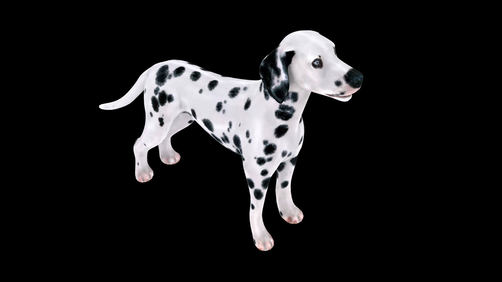 Dog Dalmatain Spotty Dog - 3D Model by cg-monster