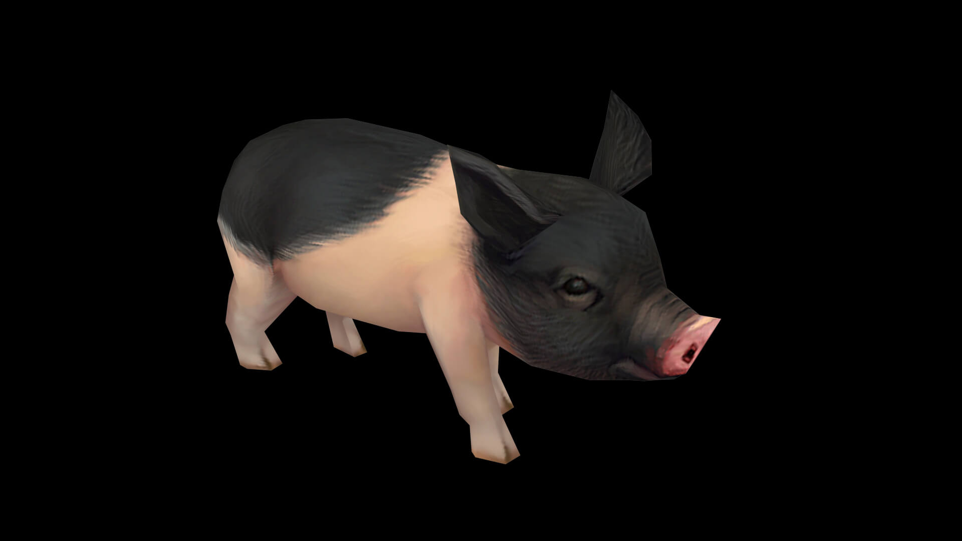 Pig Pet Pig Swine Hog Hoggery - 3D Model by cg-monster