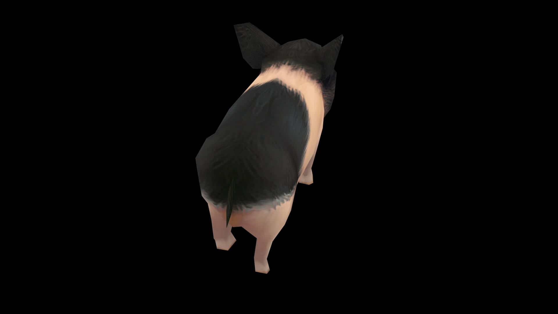 Pig Pet Pig Swine Hog Hoggery - 3D Model by cg-monster