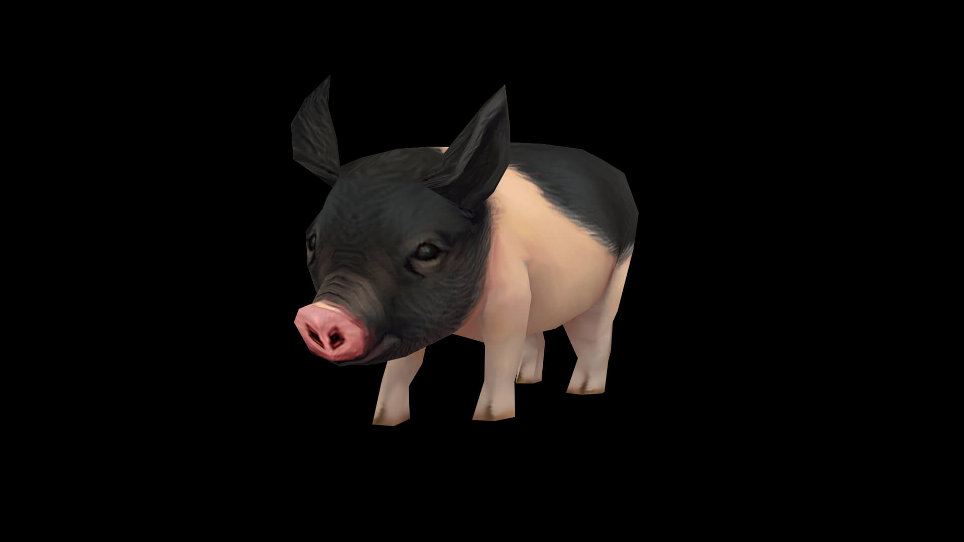 Pig Pet Pig Swine Hog Hoggery - 3D Model by cg-monster